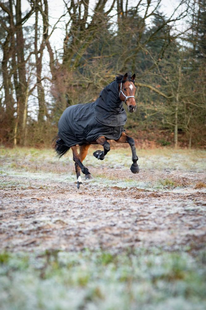 Catago Fir Tech Turnout Rug – Mikado Equine Ltd